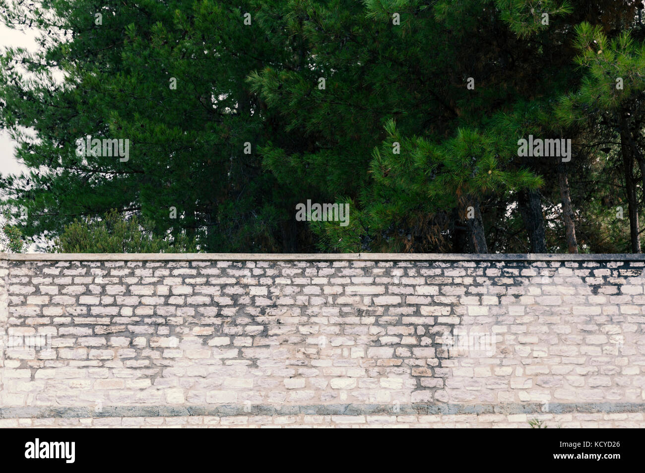 old stone wall with tree Stock Photo - Alamy