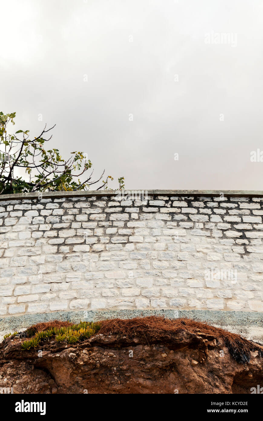 old stone wall with tree Stock Photo - Alamy