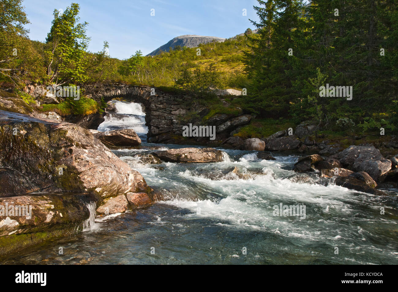 Beautiful summer landscape with the bridge through the mountain river ...