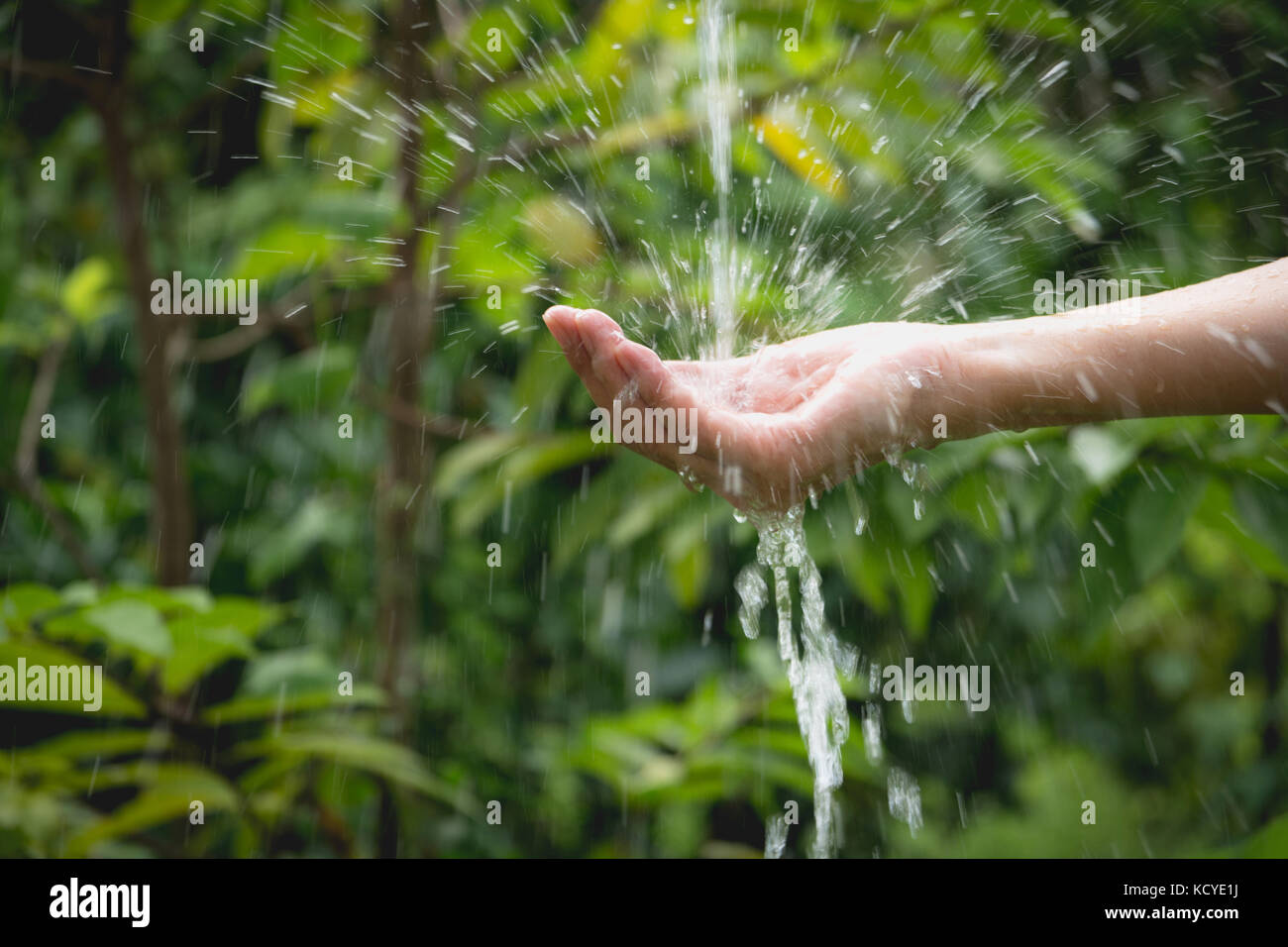 Water pouring in woman hand on nature background Stock Photo - Alamy