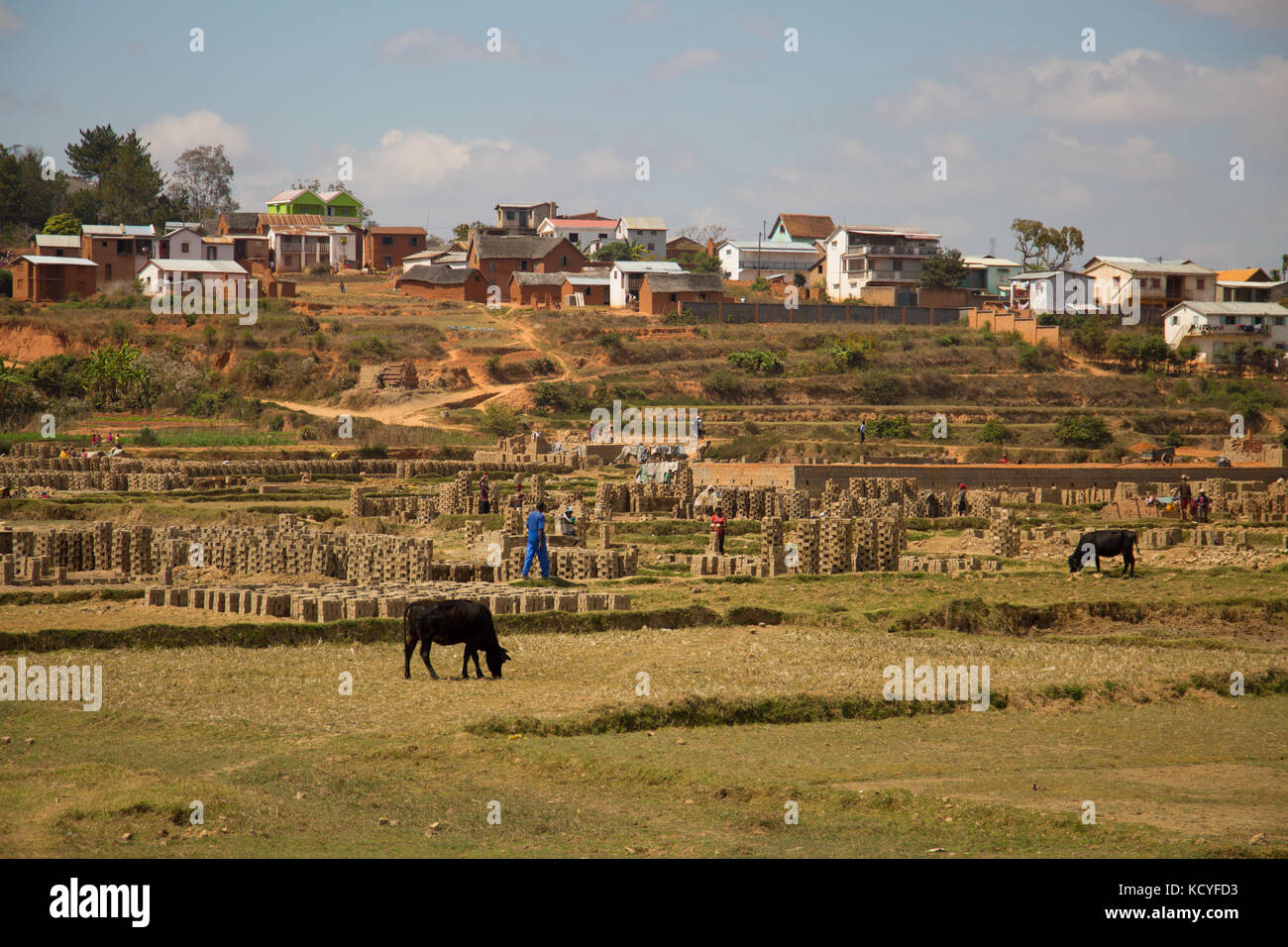Handmade bricks stacked up in paddy fields, Antananarivo, Madagascar ...