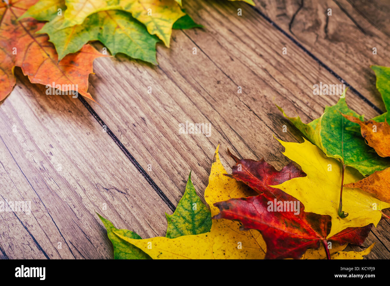 Rustic maple leaf blank hi-res stock photography and images - Alamy