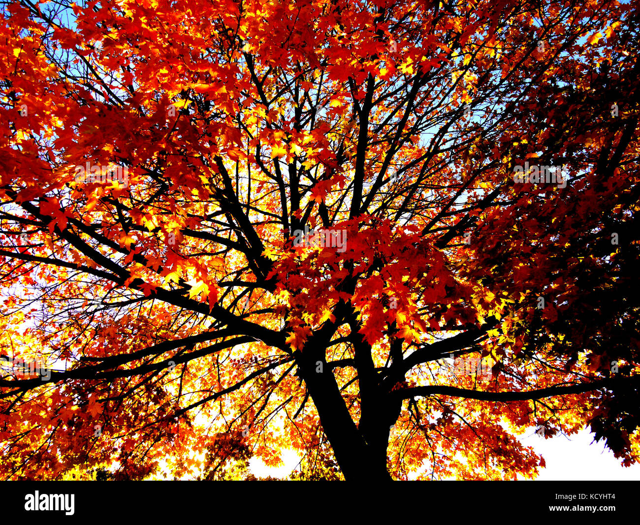 Mellow mists hi-res stock photography and images - Alamy