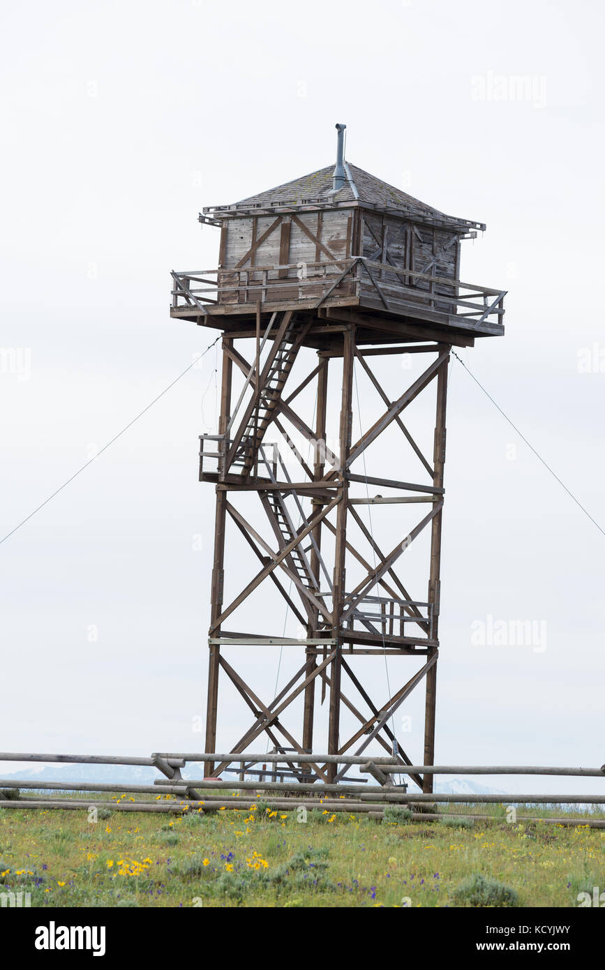 Forest fire lookout tower hi-res stock photography and images - Alamy