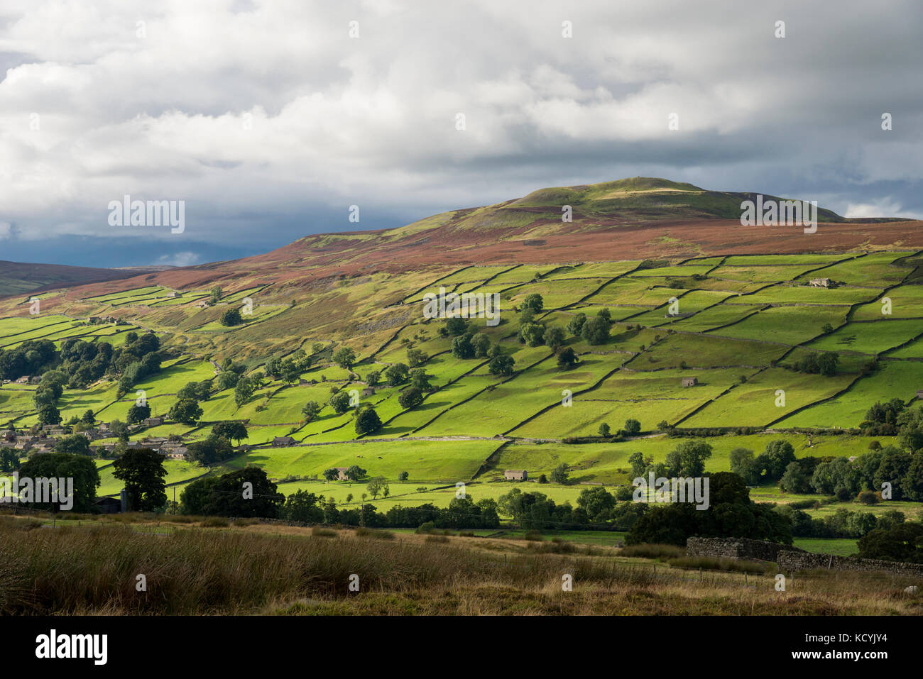 Calver Hill in Swaledale, Yorkshire Dales, England Stock Photo - Alamy