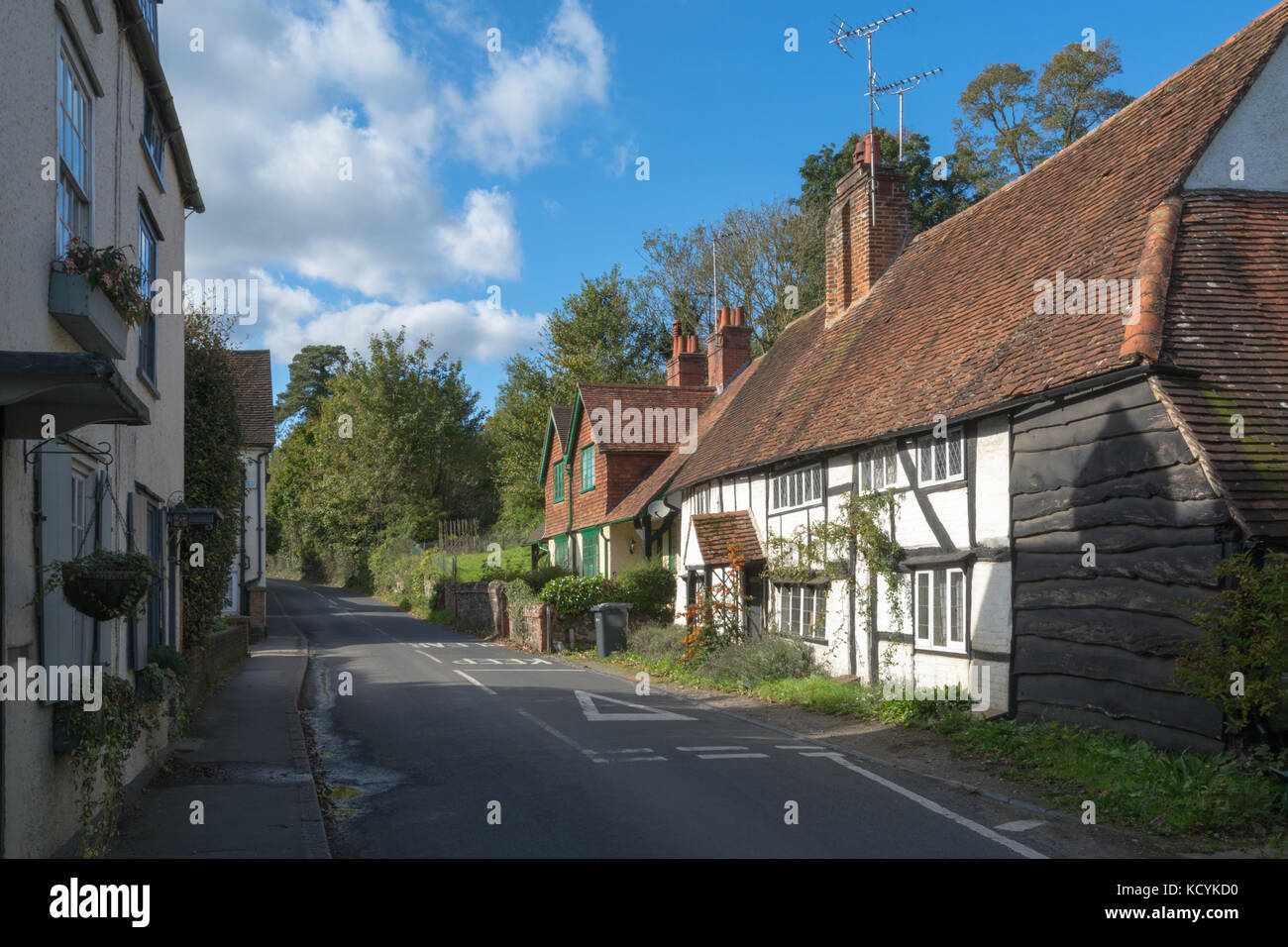 Beauty of timber hi-res stock photography and images - Alamy