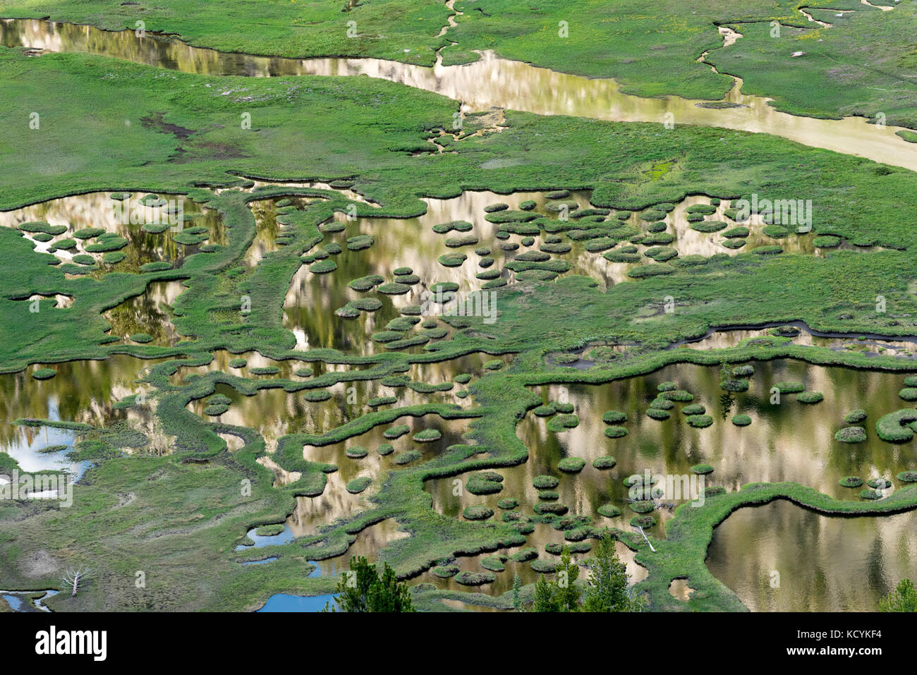 Wetland in Oregon's Eagle Cap Wilderness Area Stock Photo - Alamy