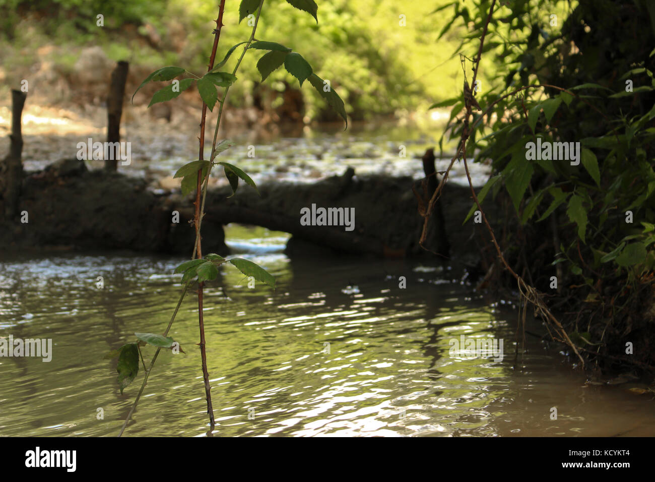 Mud dam hi-res stock photography and images - Alamy