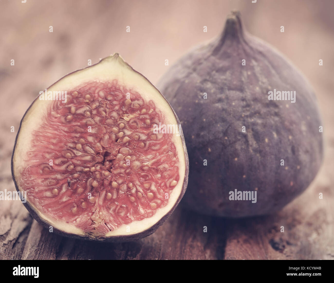Common fig ficus carica hi-res stock photography and images - Alamy