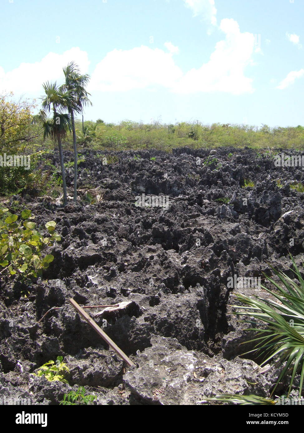 Grand caymen island hi-res stock photography and images - Alamy