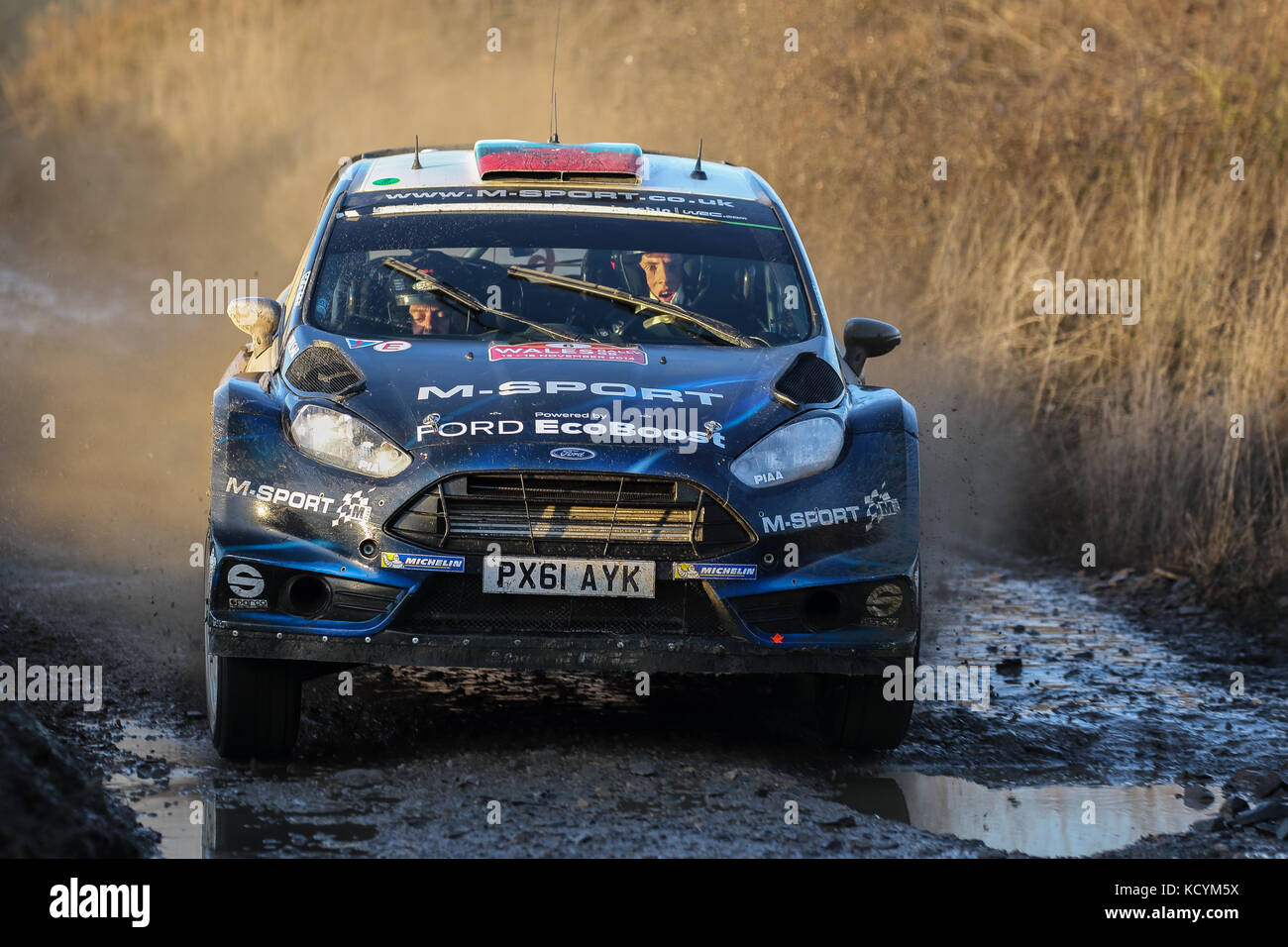 Elfyn Evans at the Wales World Rally Championship (WRC) Rally GB in ...