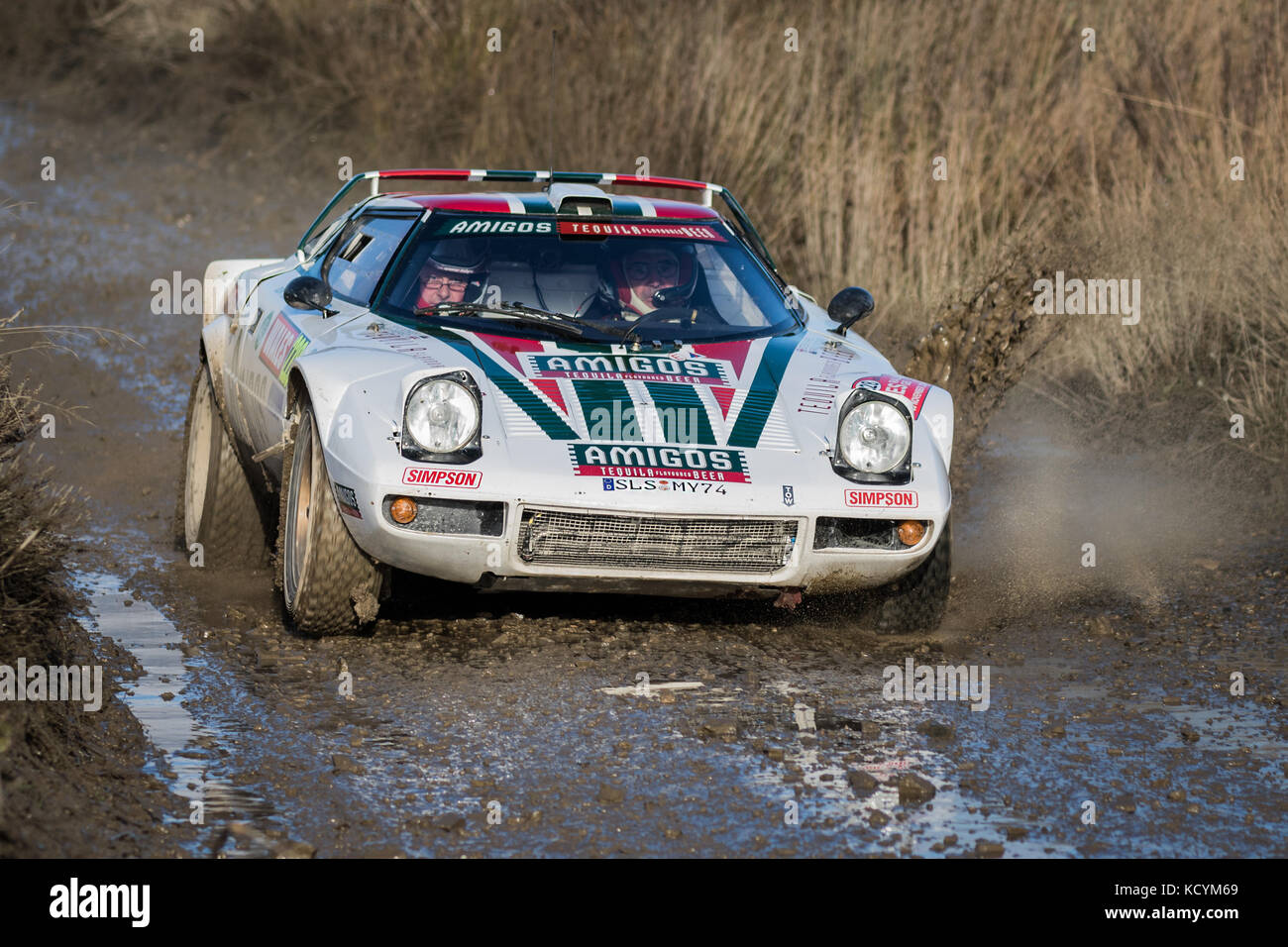 Steve Perez at the Wales World Rally Championship (WRC) Rally GB in ...