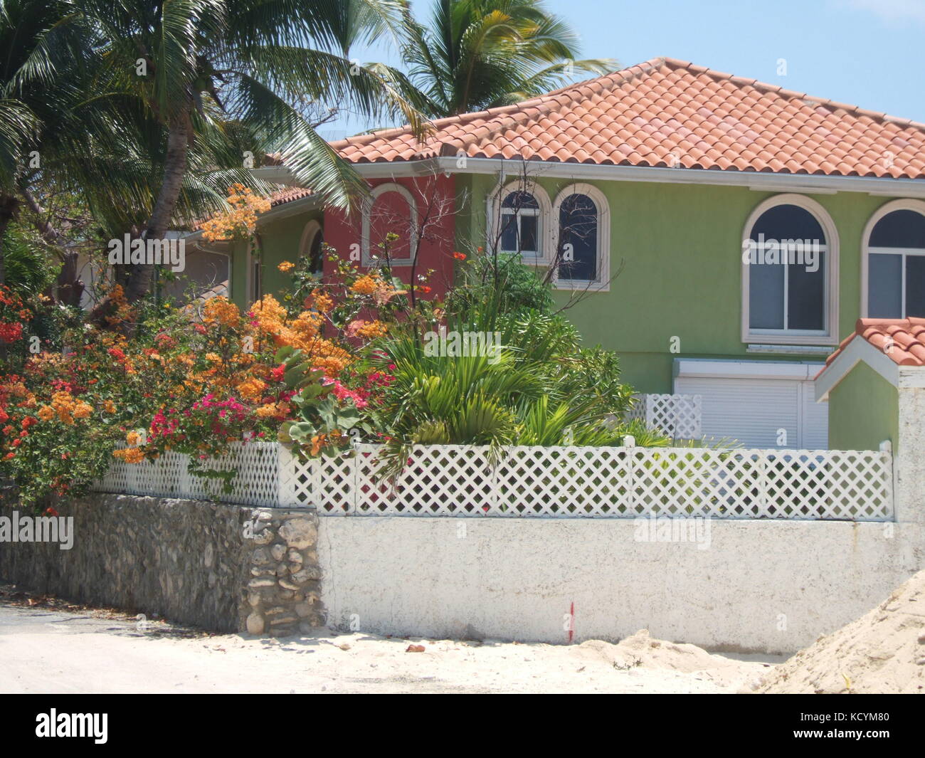 Grand cayman flowers hi-res stock photography and images - Alamy