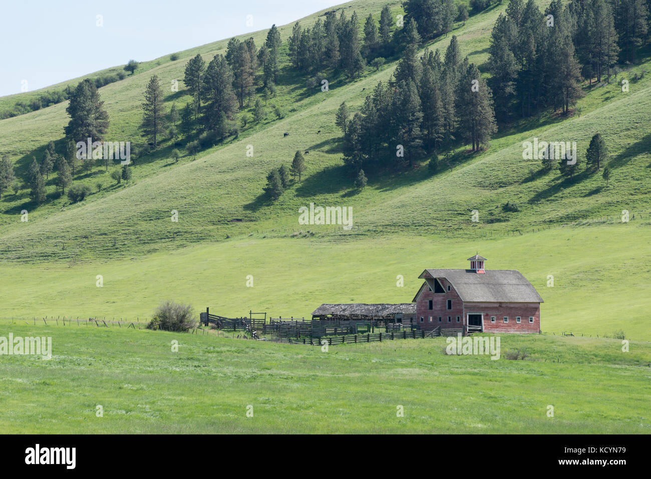 Rustic barn, shed and corral in Northeast Oregon Stock Photo - Alamy