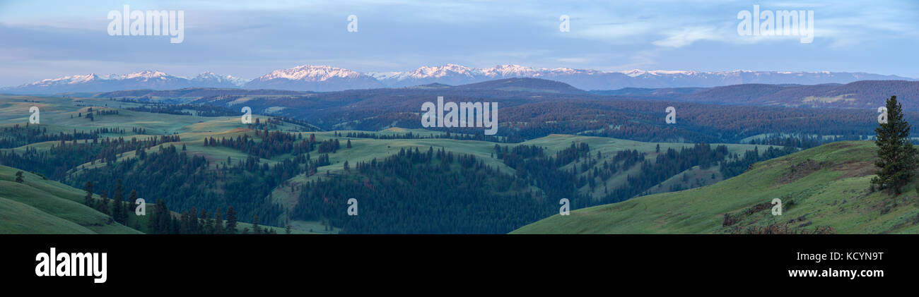Panorama of the forest, grasslands, hills and mountains of Northeast ...