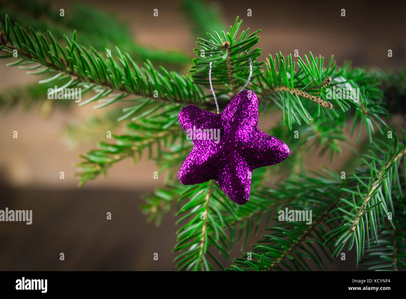 toy on the Christmas tree branch Stock Photo - Alamy