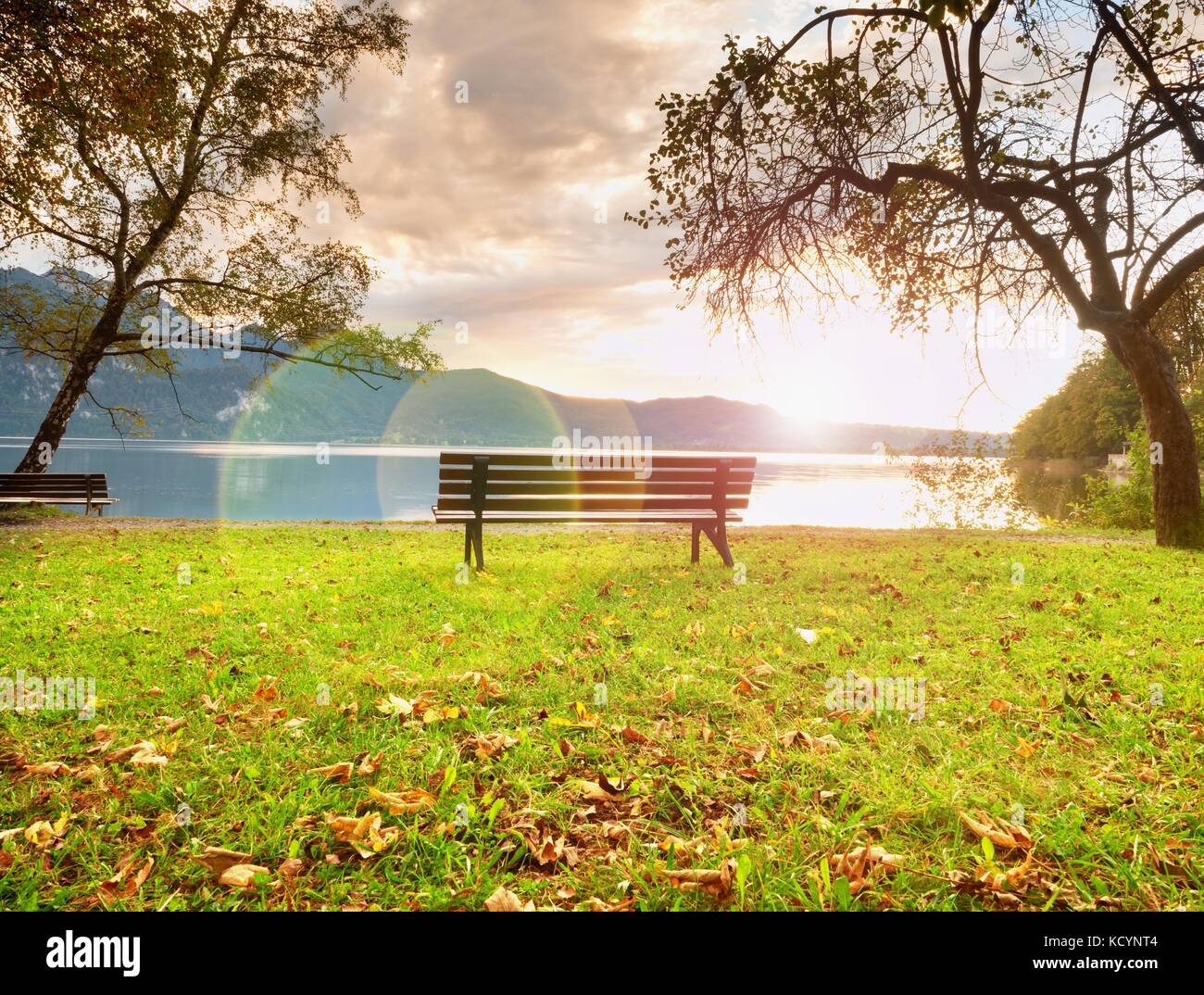 Strong flare defect, bench at mountain lake. Pond bank tree, mountains ...
