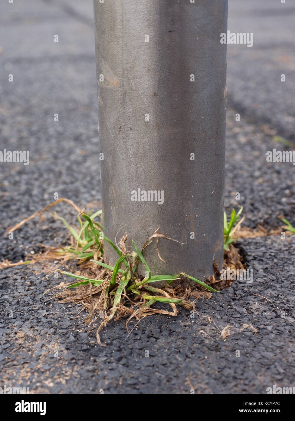 Chrome pole in flexible tile for playground. Tiles made from a mixture ...