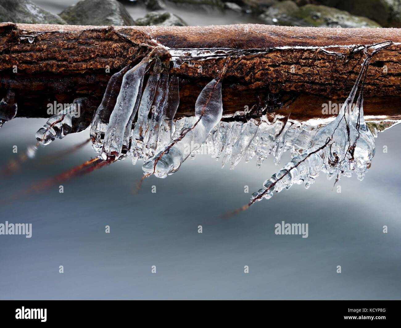 Long icicles hang above dark freeze water of mountain stream. Winter ...