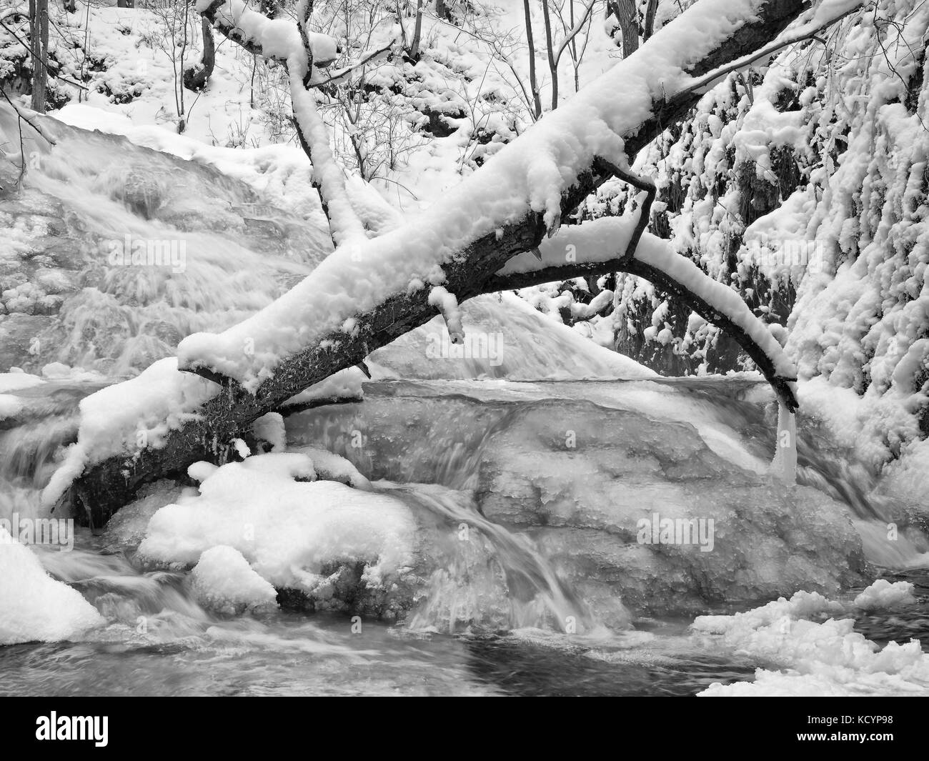 Frozen cascade of waterfall, icy twigs and icy boulders in frozen foam ...