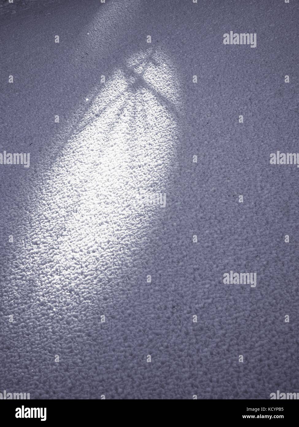 Shadows of tree in stucture of crystal snow. Snow surface from very ...