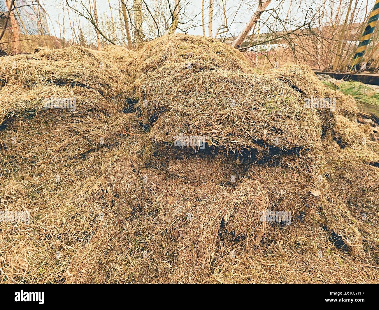 Rotten grass hi-res stock photography and images - Alamy
