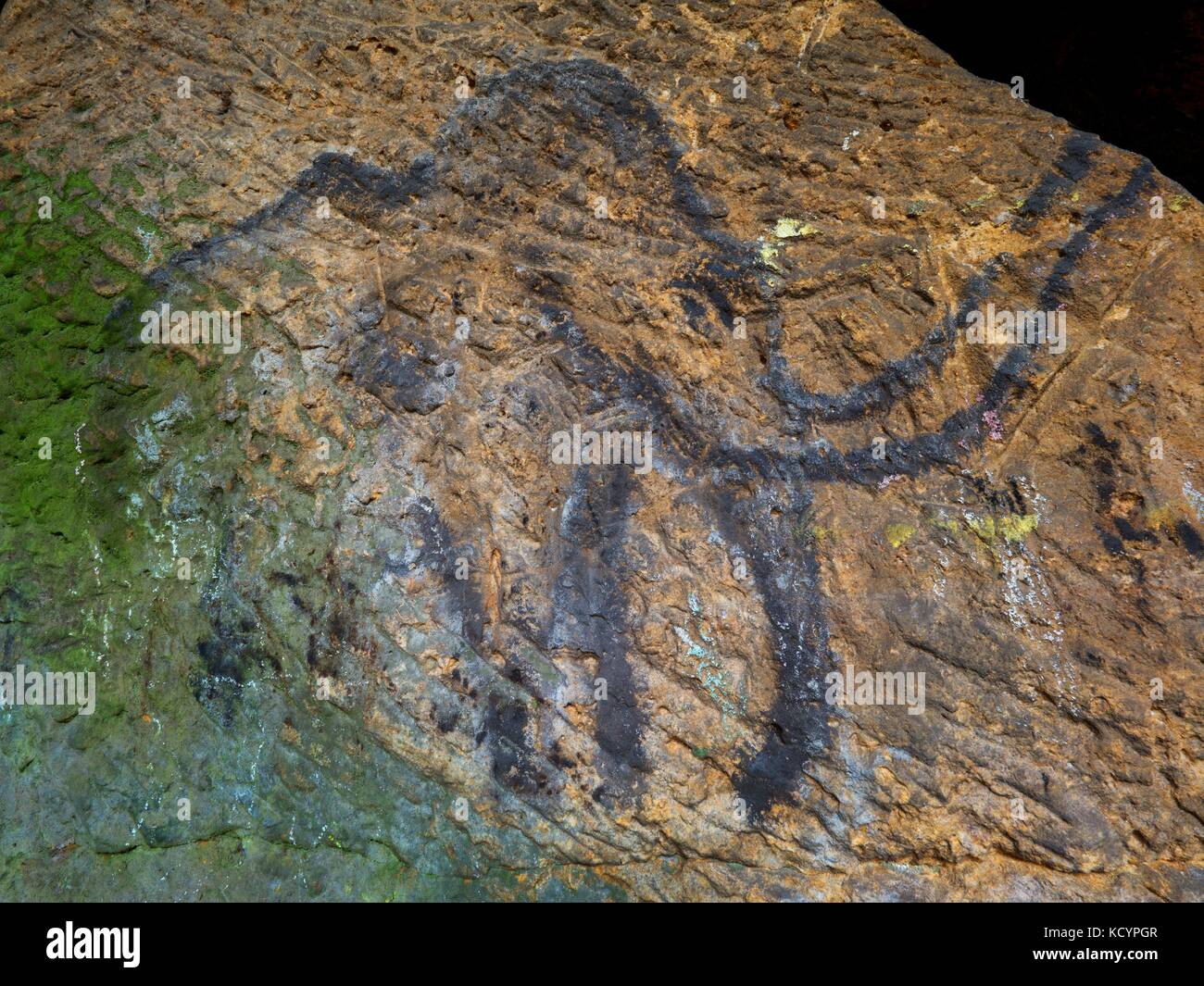 Prehistoric art of mammoth in sandstone cave. Spotlight shines on ...