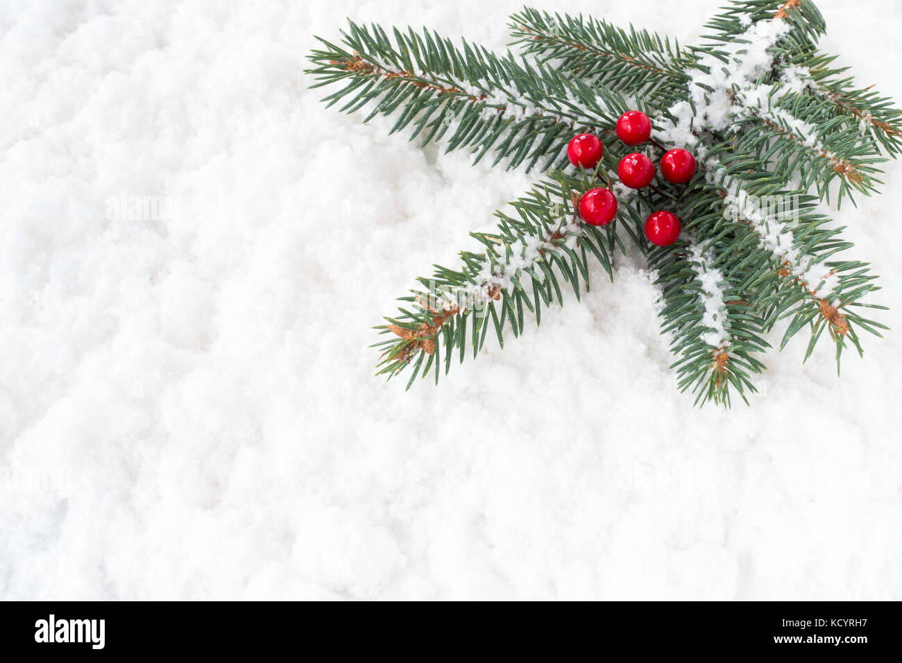 Christmas holly background theme hi-res stock photography and images ...