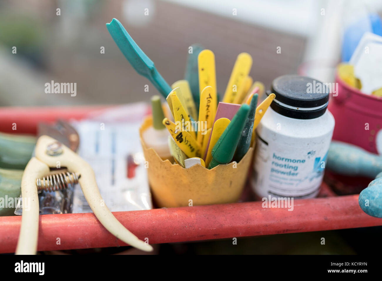 Plant labels, secateurs and other equipment for gardening in an English ...