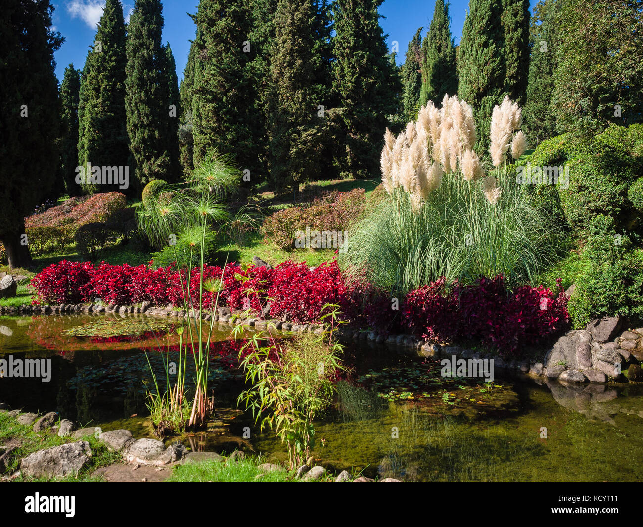 Red bushes hi-res stock photography and images - Alamy