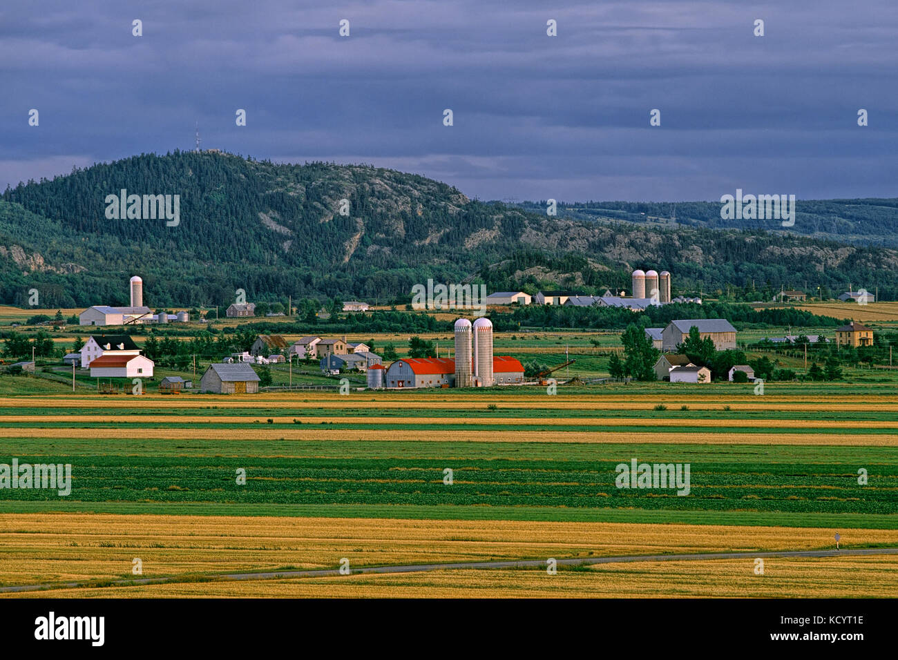 Barns quebec farms agriculture hi-res stock photography and images - Alamy