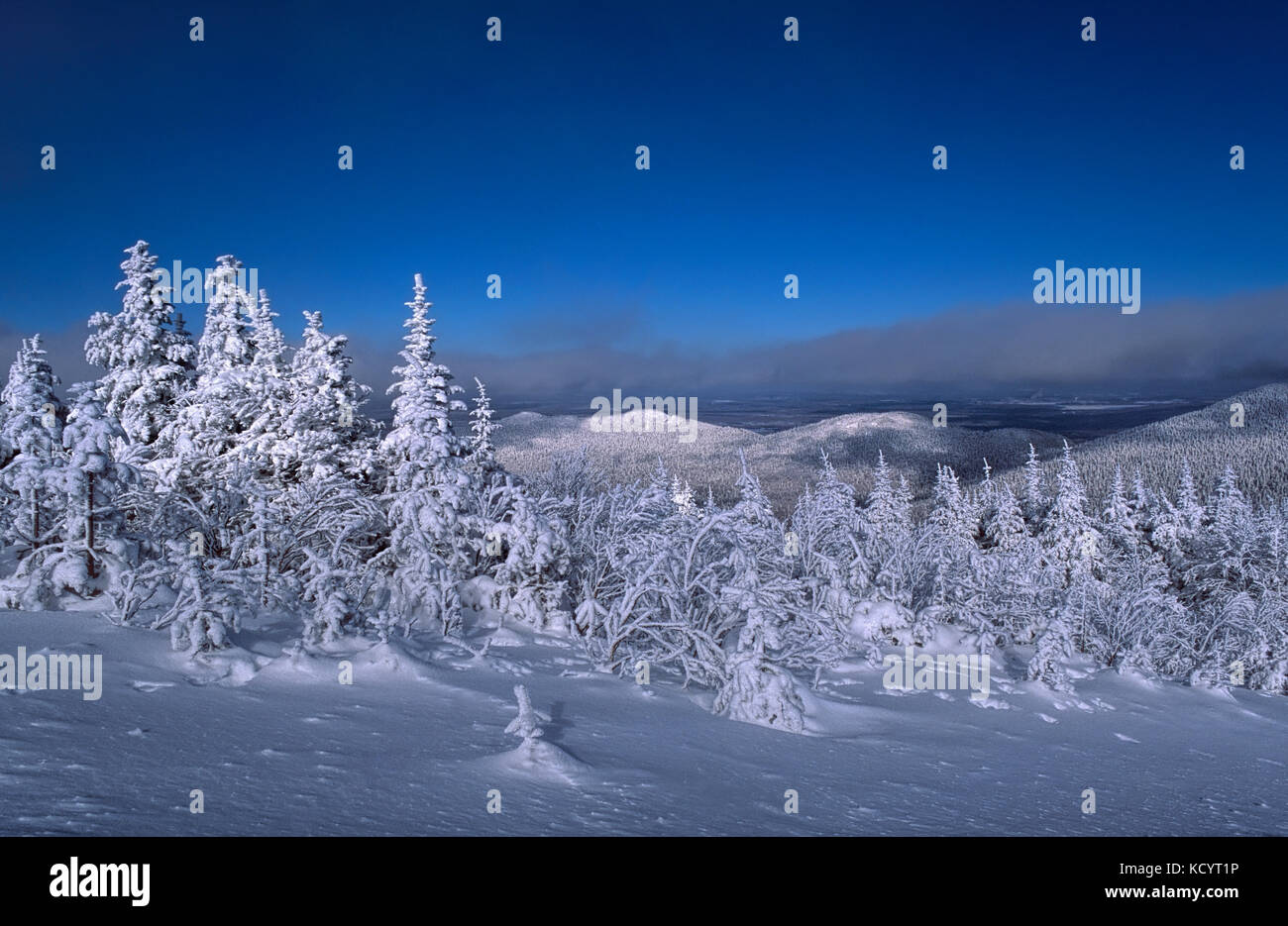 Snow covered trees, Mont-Mégantic National Park, Québec, Canada Stock ...