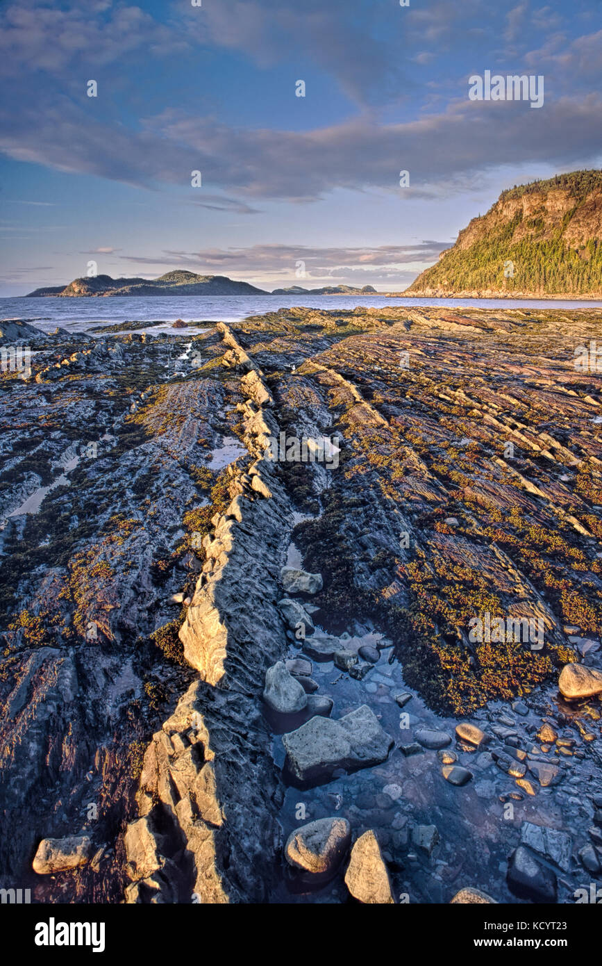 Rock layers at low tide in the Bic National Park, Lower Saint-Lawrence ...