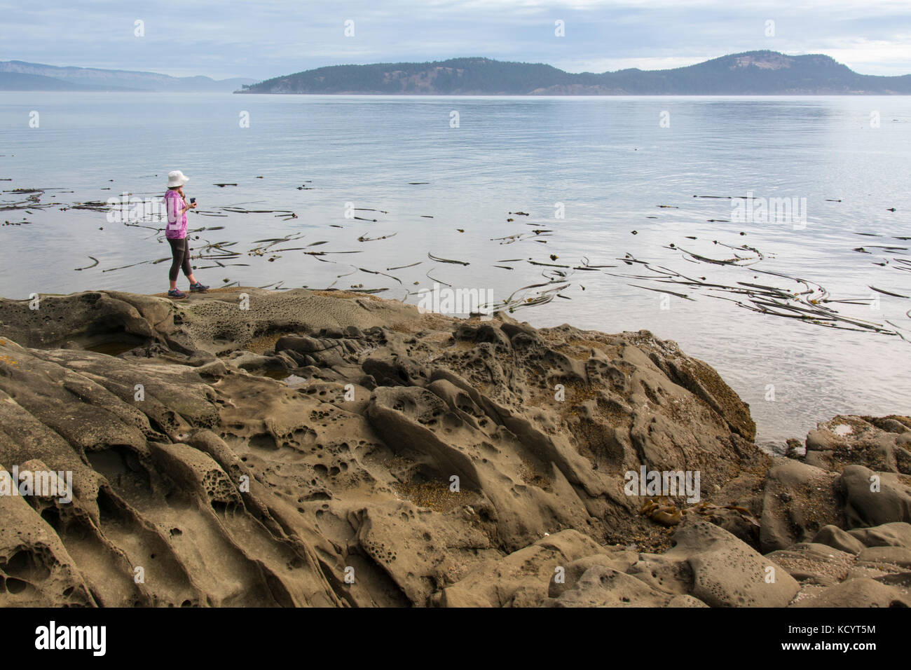 Isle de lis marine park hi-res stock photography and images - Alamy