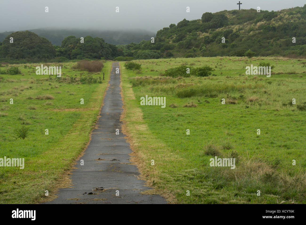 Hana Ranch roadway, Maui, Hawaiian Islands, USA Stock Photo - Alamy