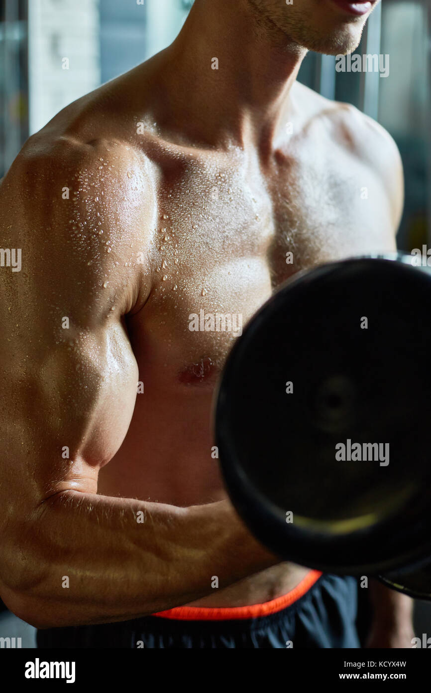 Close-up shot of sweaty muscular man pumping up muscles with dumbbell ...