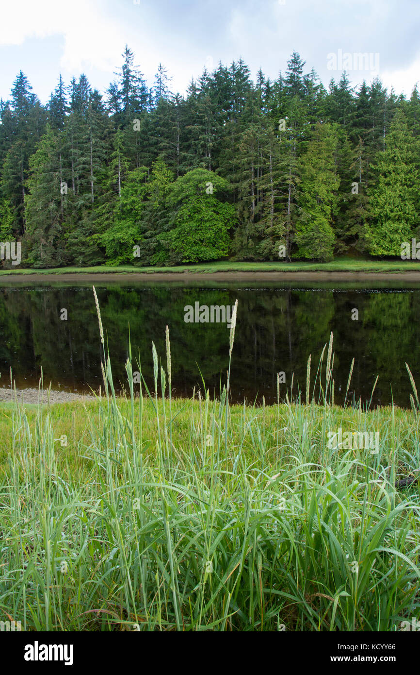 Formerly Known As Queen Charlotte Islands High Resolution Stock ...