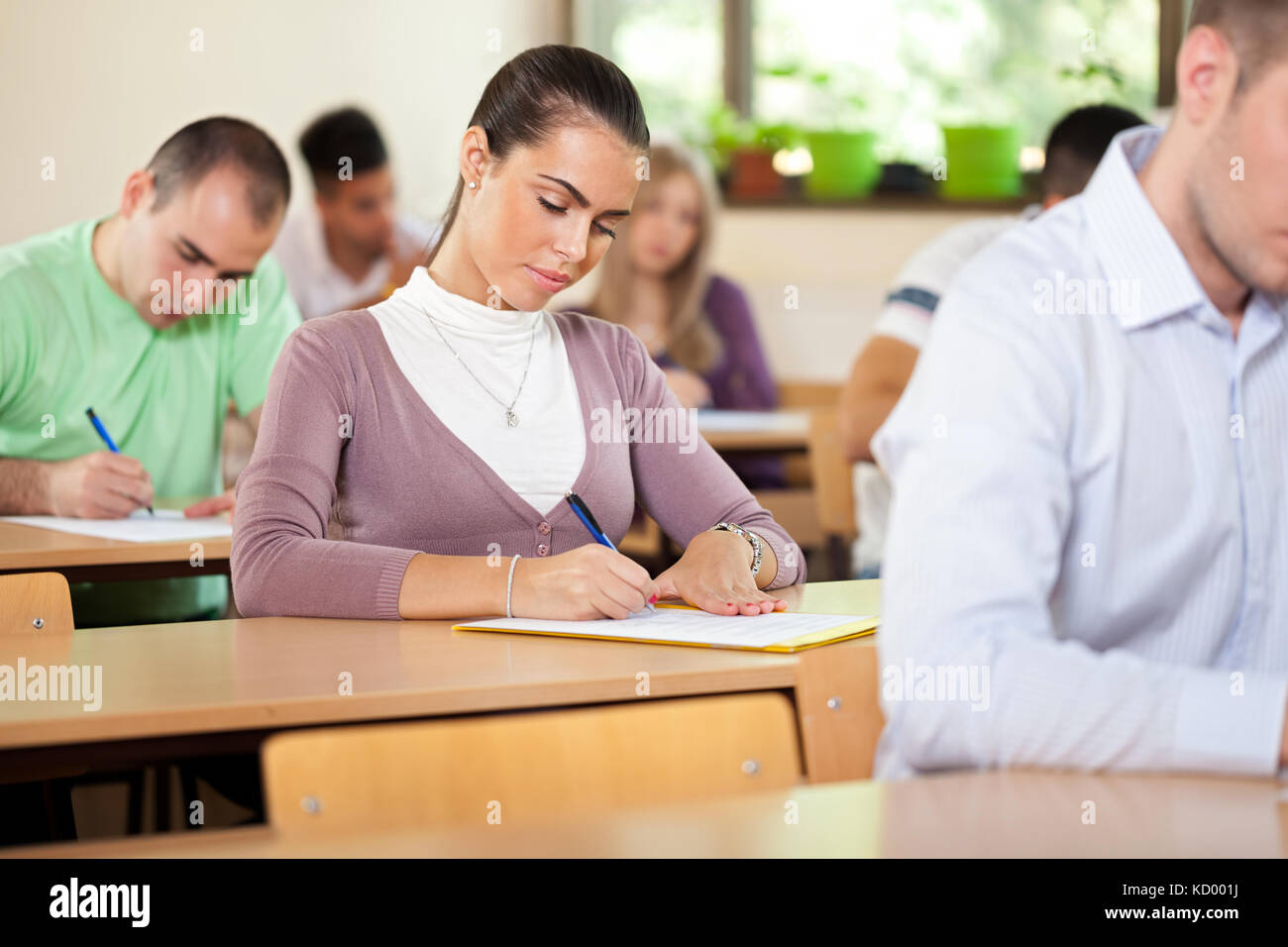 Person in education sitting writing classroom concentration education ...