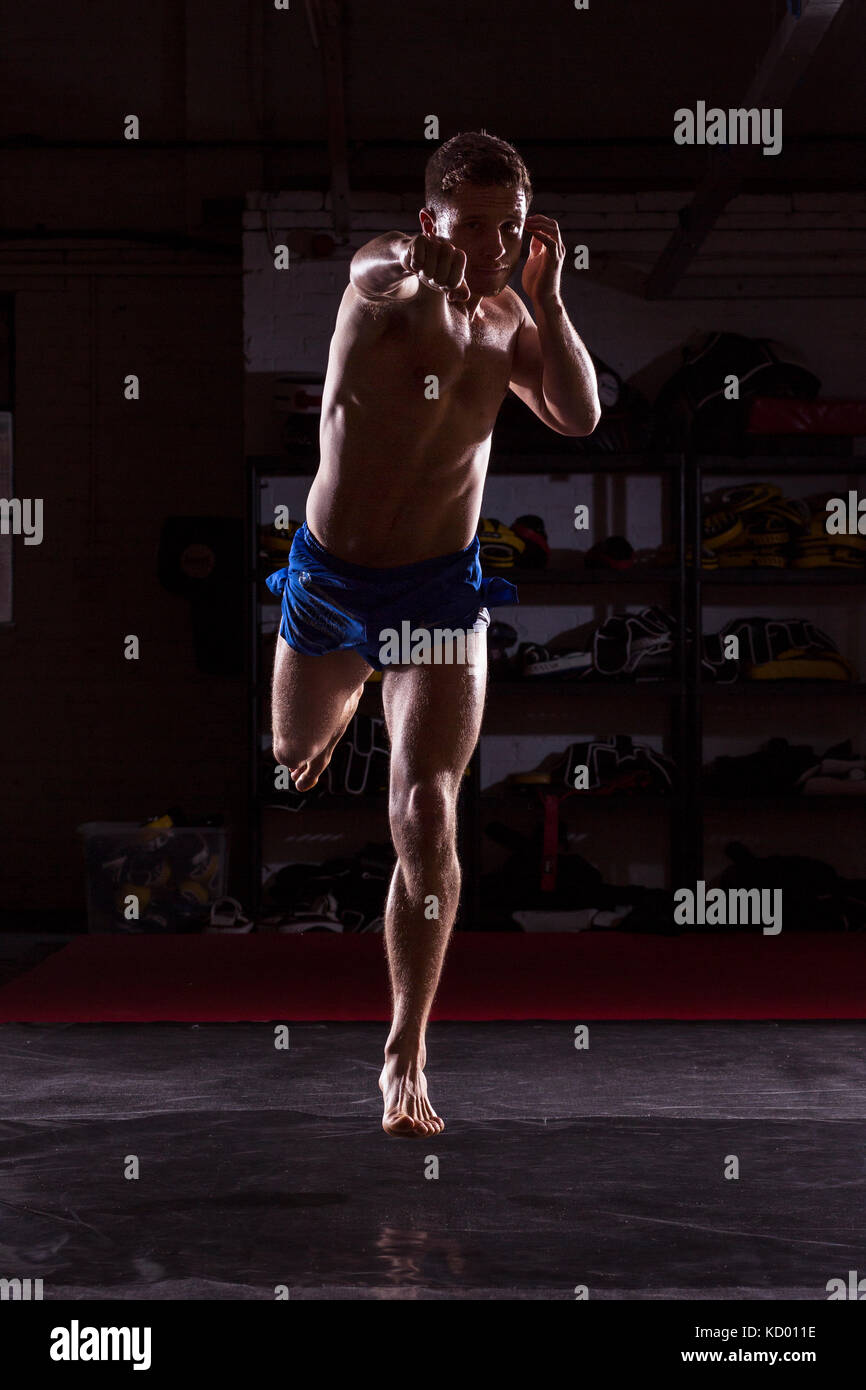 A male MMA fighter training kicks and punches in a dark gym Stock Photo ...