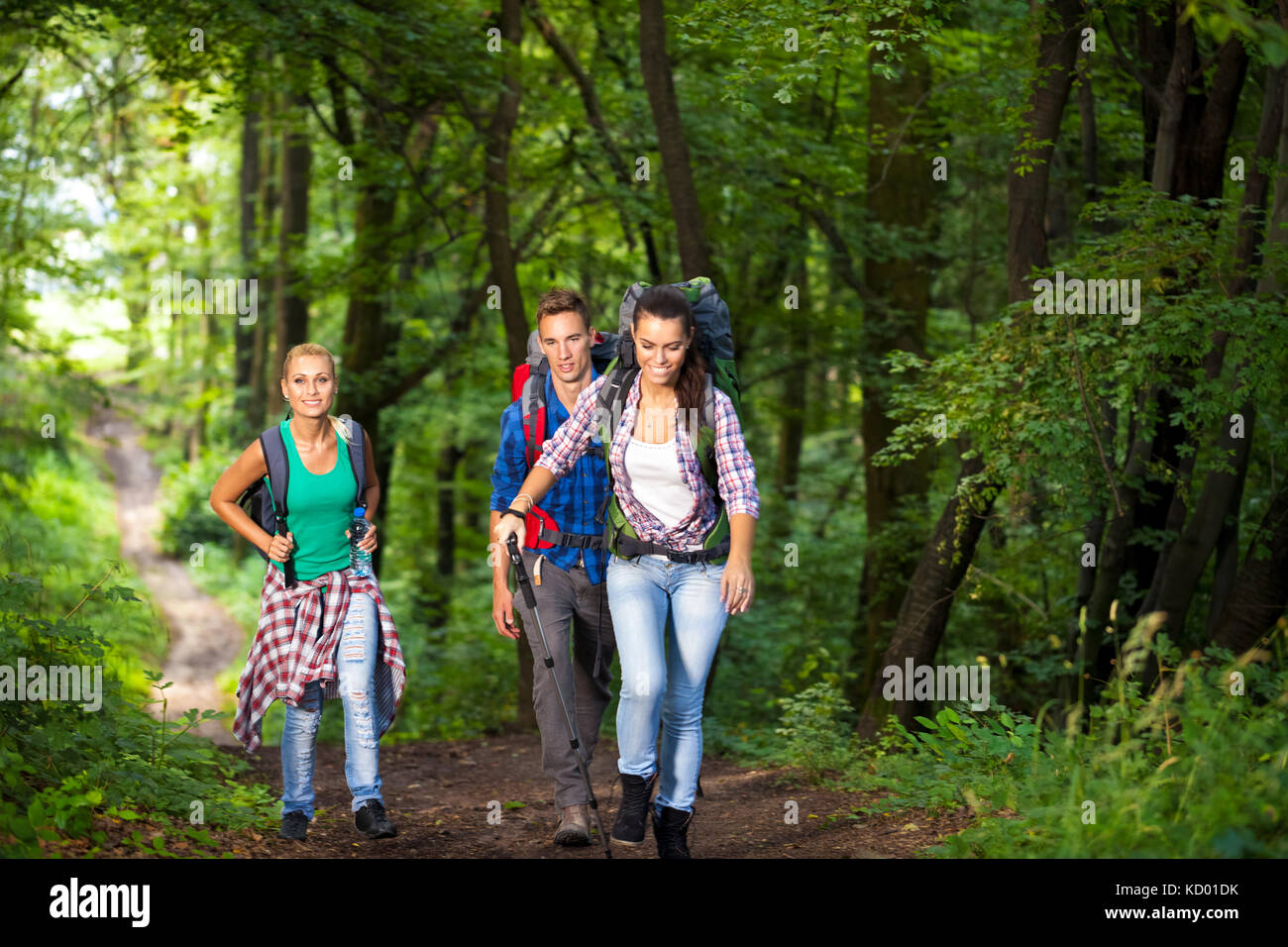 Active young people hiking in forest Stock Photo - Alamy