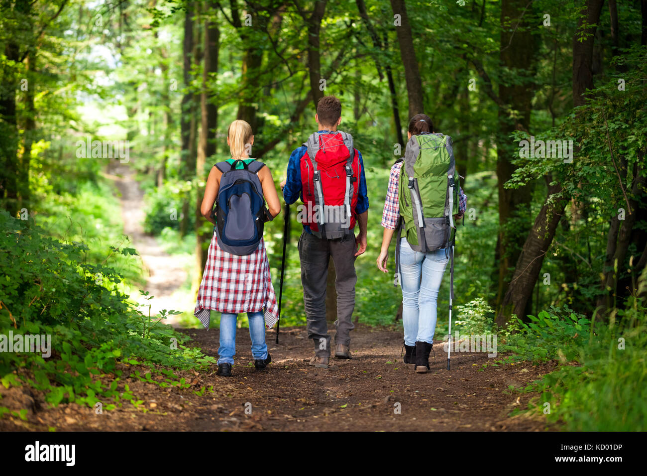 Hikers with backpacks, back view Stock Photo - Alamy