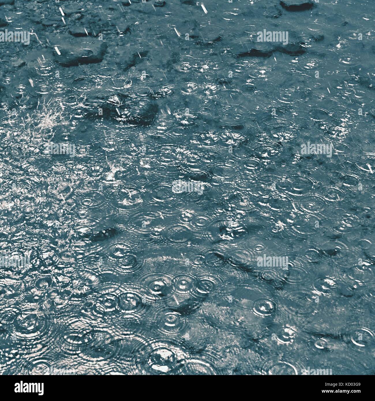 Rain. Beautiful abstract background with bad weather. Rain drops ...