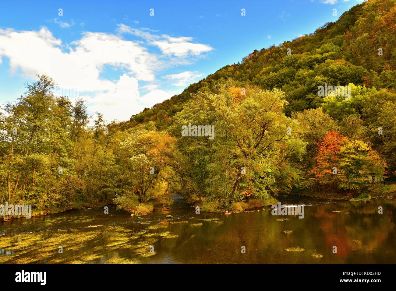 Beautiful autumn landscape with river and colorful trees in a forest at ...