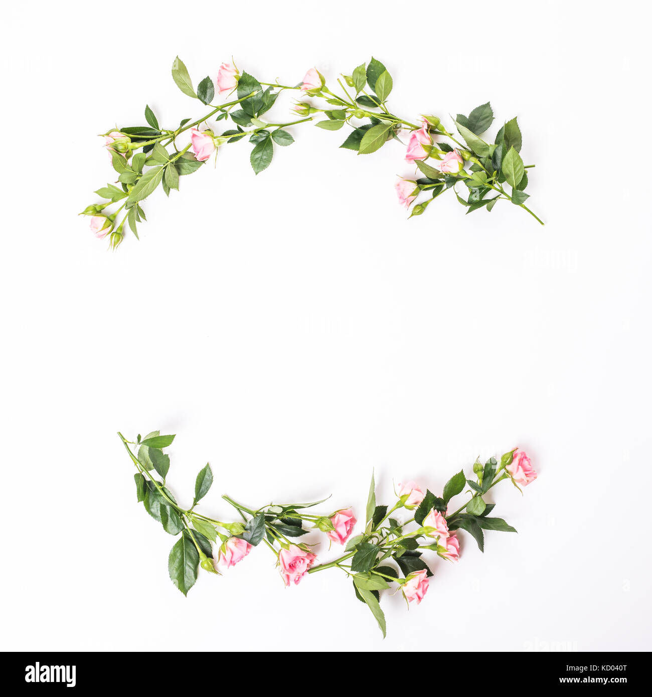 Flowers composition. Frame made of dried rose flowers on white wooden ...