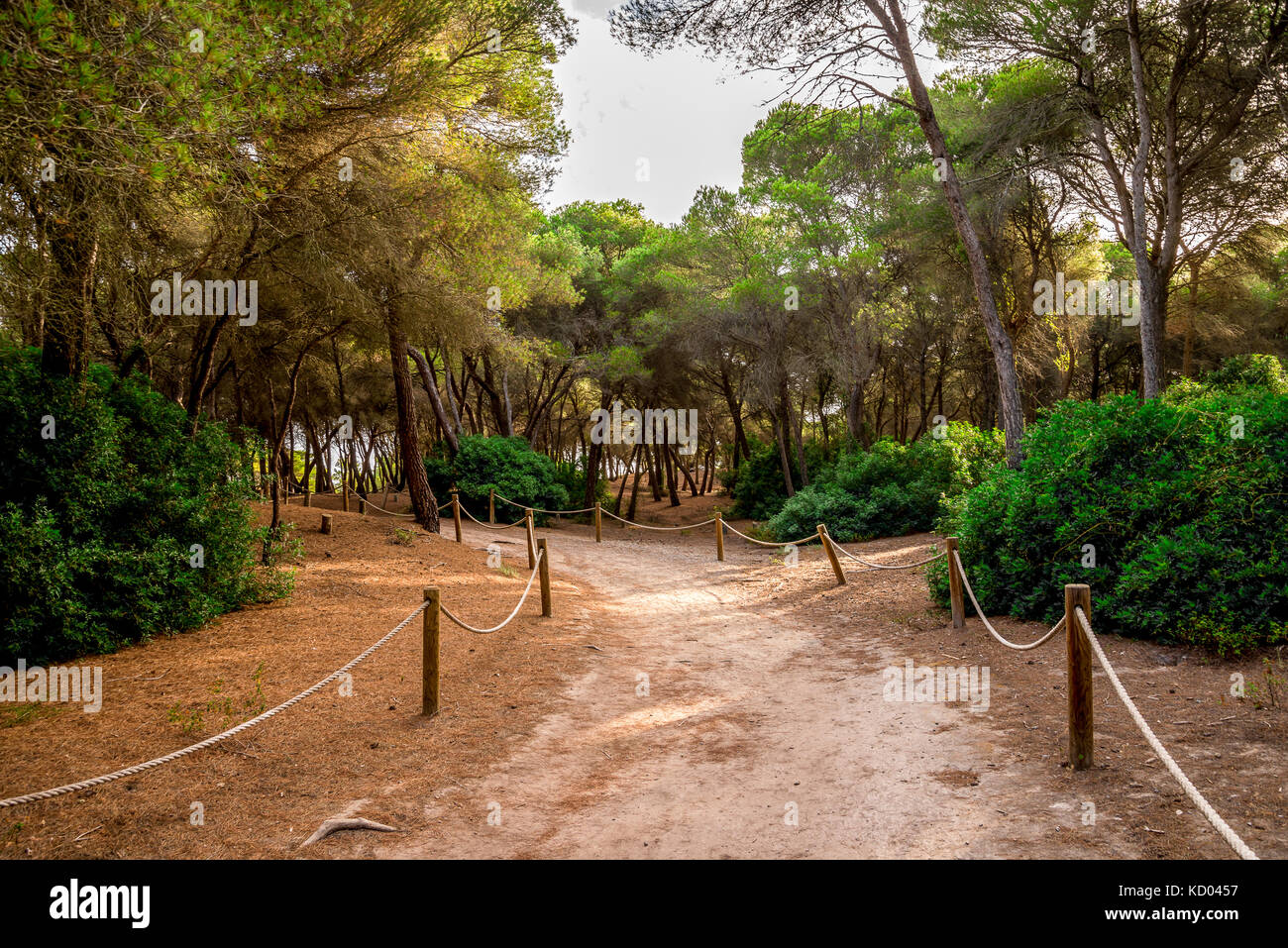 Muro post it hi-res stock photography and images - Alamy