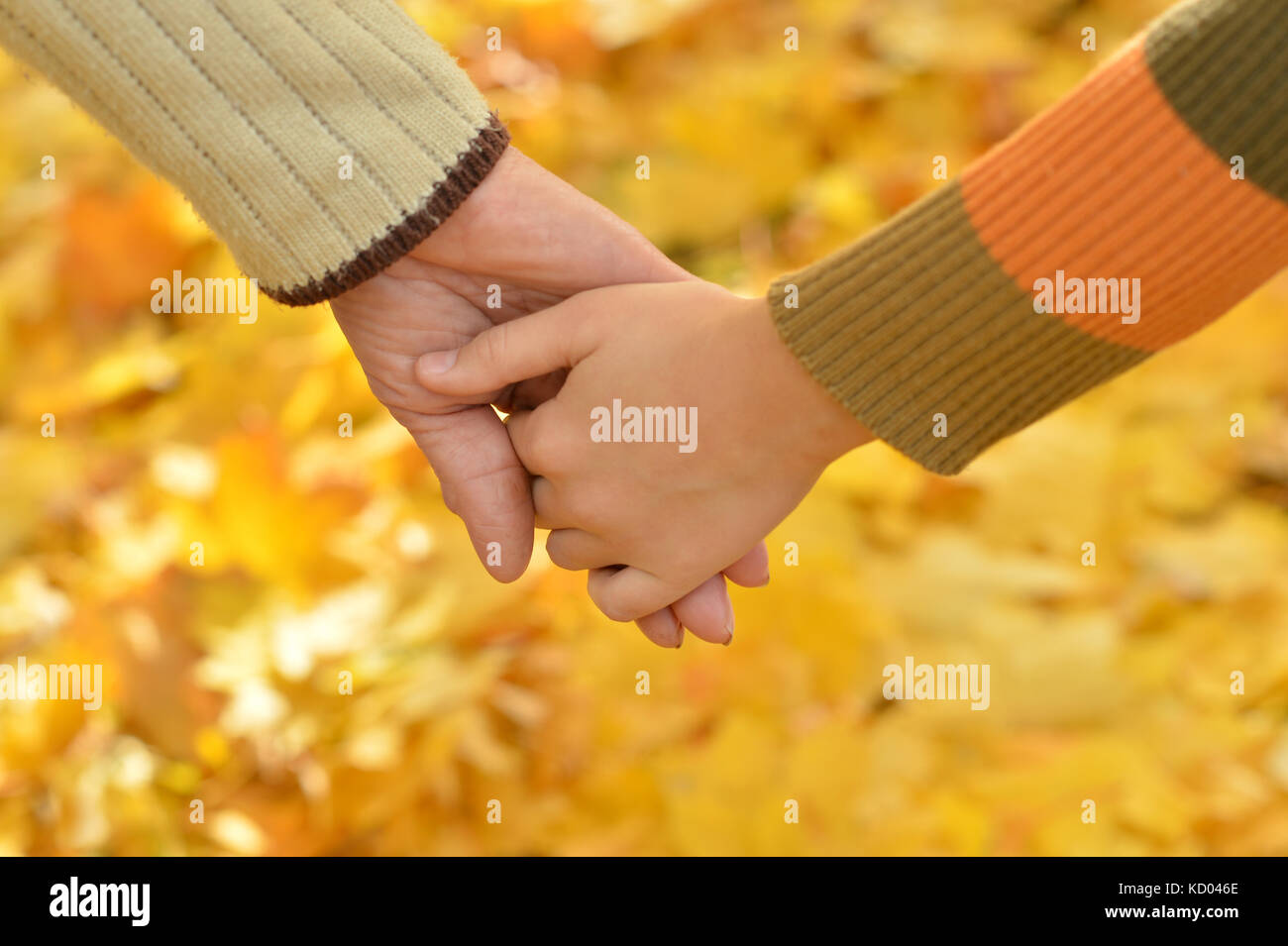 Two hands together in park Stock Photo - Alamy