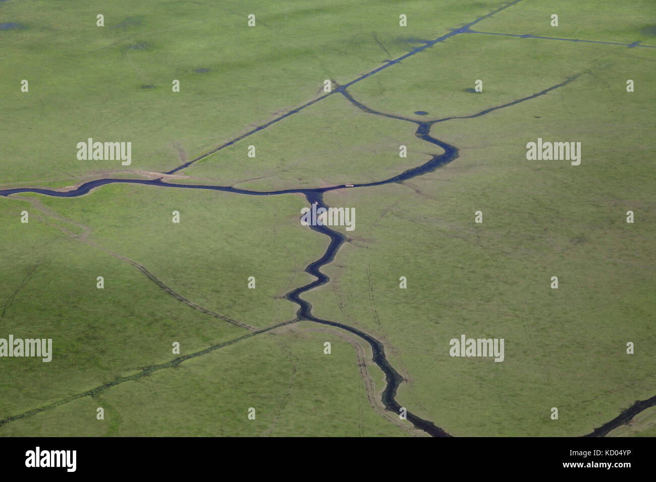 Aerial view of the floodplain on the Odra River with the forest and ...