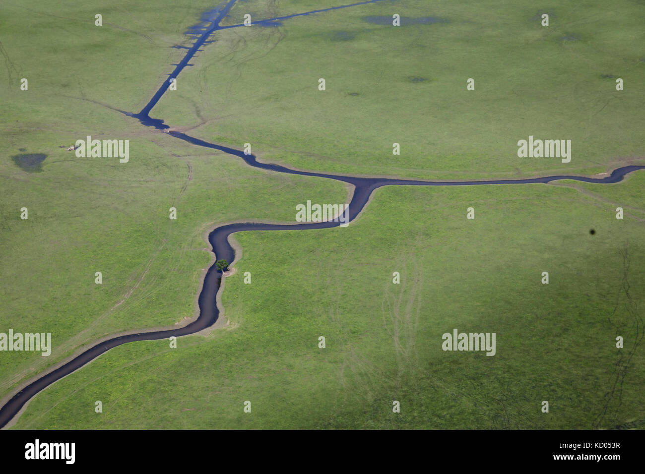 Aerial view of the floodplain on the Odra River with the forest and ...