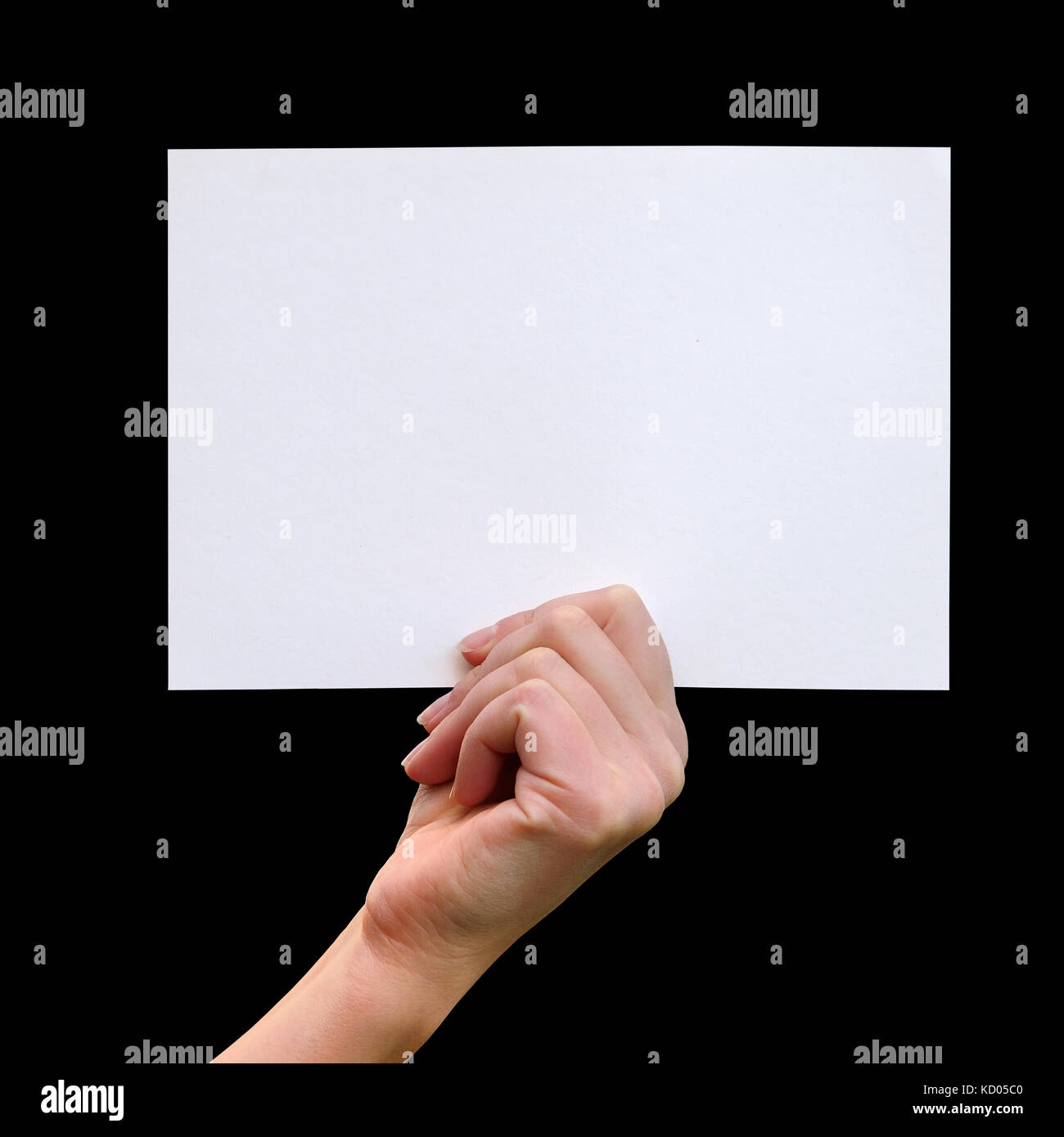 Female hand holding paper blank isolated on black Stock Photo - Alamy