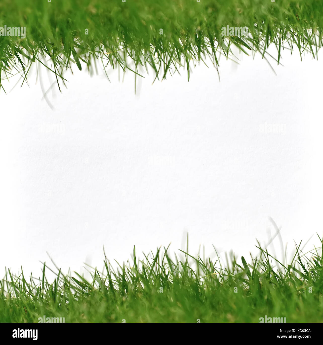 Paper grass hi-res stock photography and images - Alamy